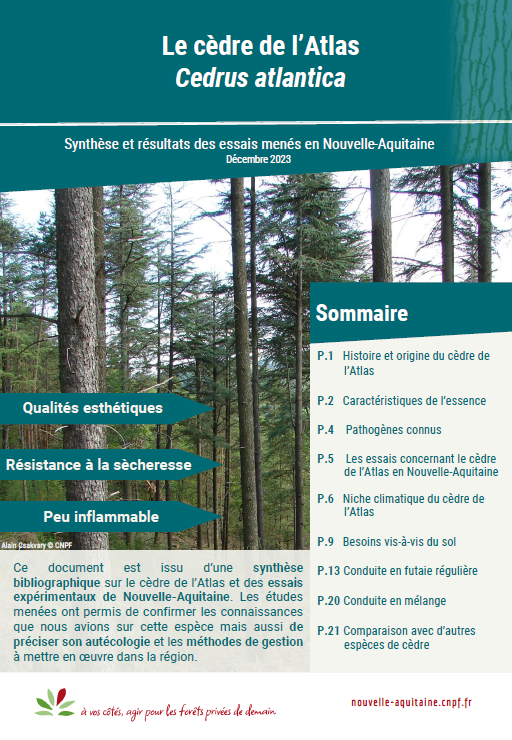 Brochure cèdre de l'Atlas