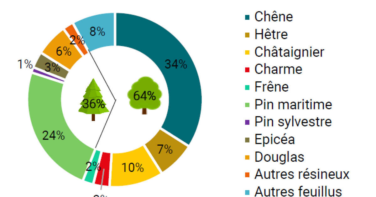 Répartition des essences forestière en Nouvelle-Aquitaine